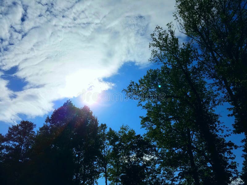 Sun over trees stock image. Image of tree, blue - 76796525