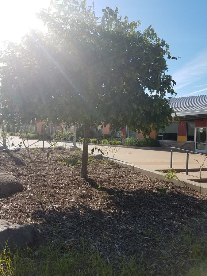 Sun Overhead stock photo. Image of overhead, milwaukee - 97752038