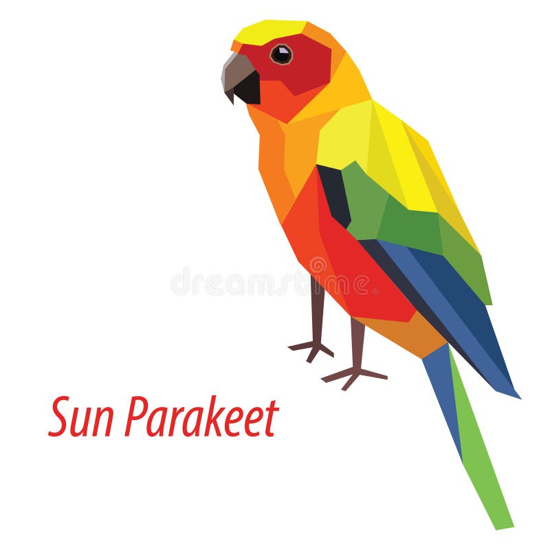 Bird set stock vector. Illustration of geometric, eater - 56789045