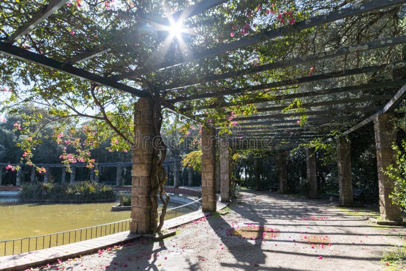 The Sun Peaks through the Roof of the Structure Around the Pond Stock ...