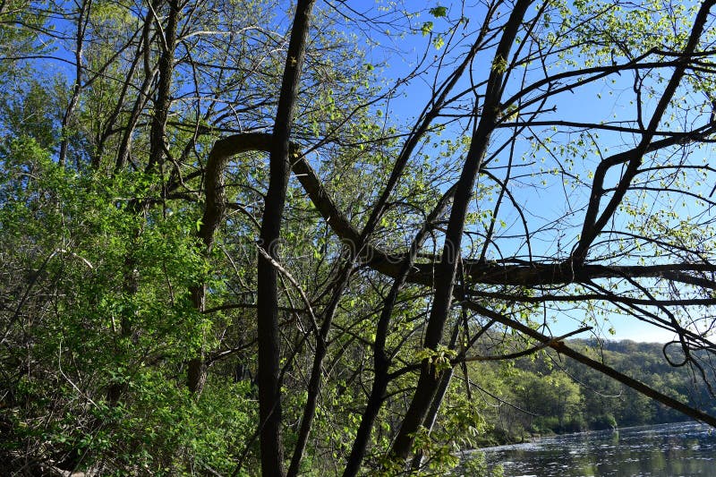 The Sun Peeking through Dense Forests Above a Hill at Interstate State ...