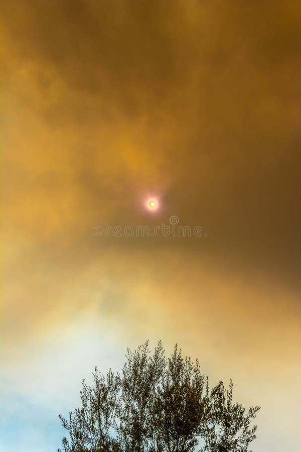 Sun Peeking through Smoke Clouds Over Tree from Wildfire Stock Photo ...