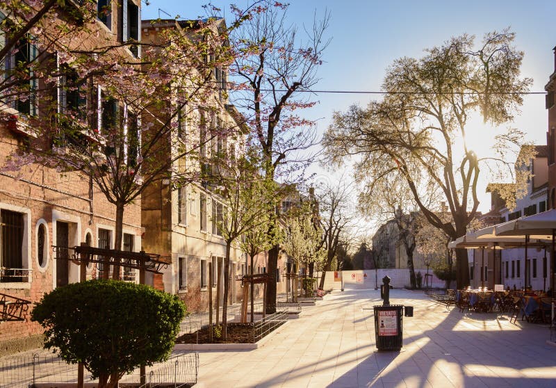 Spring at Venice Italy editorial photo. Image of accademia - 114800976