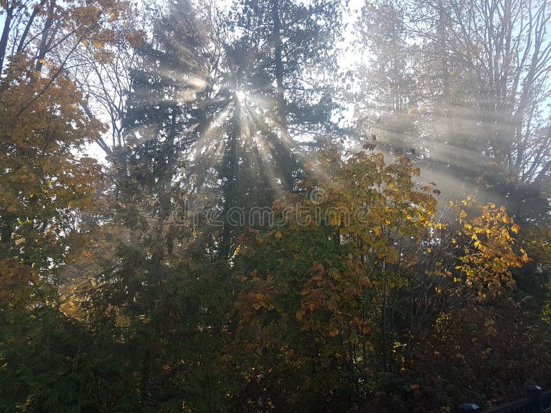 Emanate Sun Rays stock photo. Image of emanate, rays - 130587274