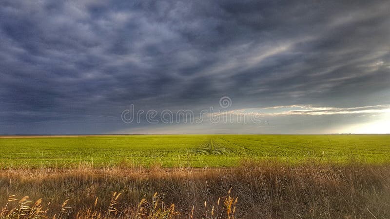 Grass and clodus stock photo. Image of grass, green - 111594184