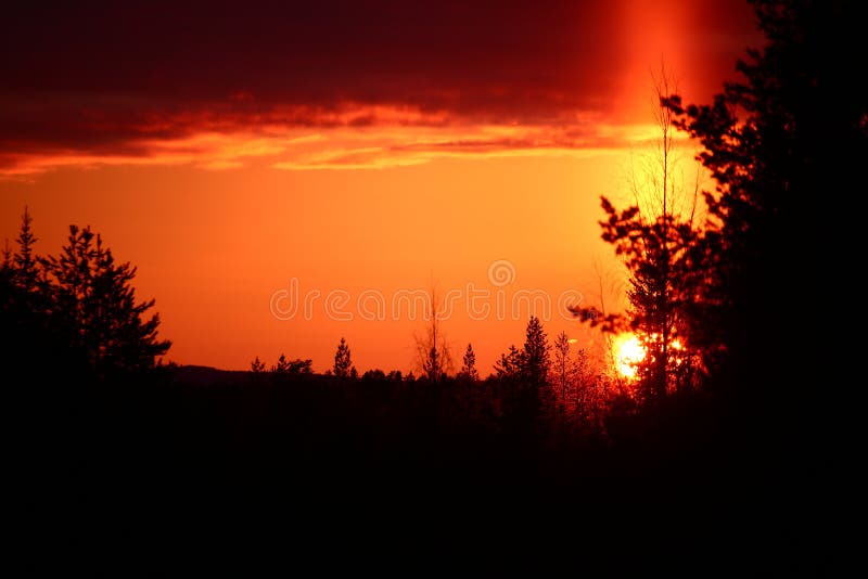Sun Pillar and Orange Sky with Forest Silhouette Stock Image - Image of ...