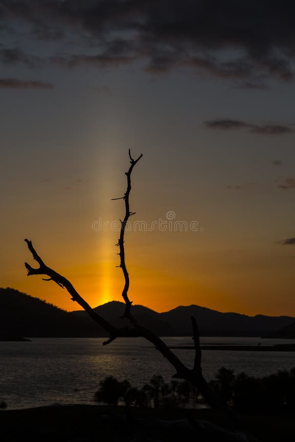 Sun Pillar at Sunset Overlooking a Lake with a Tree Juxtaposed Stock ...