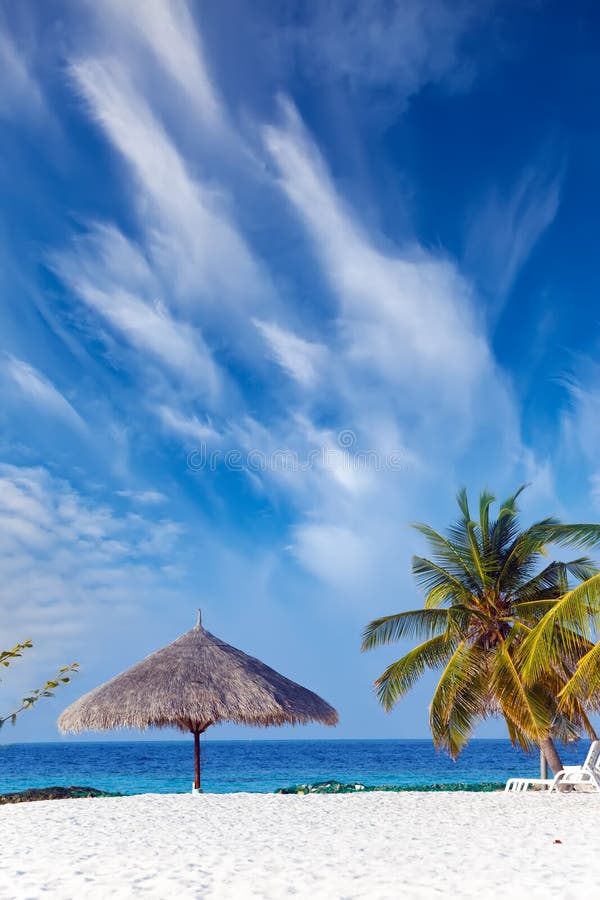 Sun-protection Umbrella, Beach, Sea Stock Image - Image of parasol ...