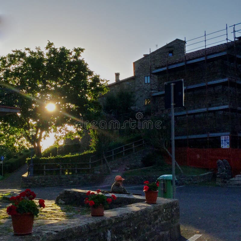 Morning contemplation stock photo. Image of build, contemplate - 99052908