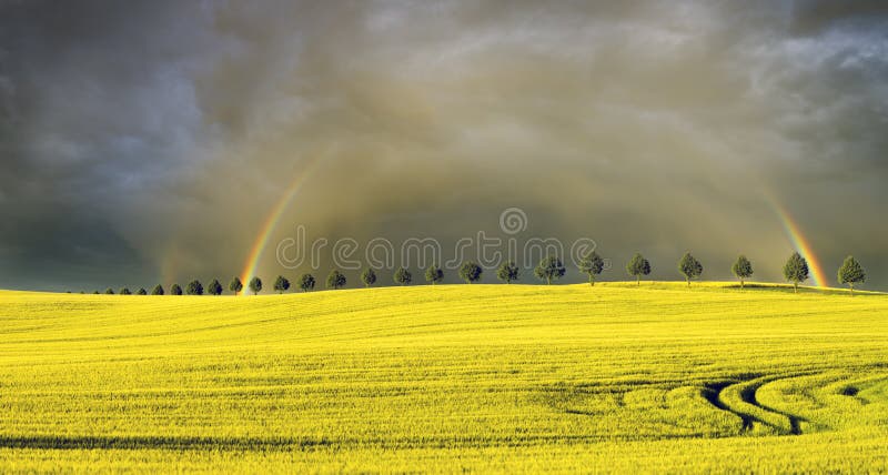 Sun, Rain and Two Rainbows Over the Field Stock Photo - Image of ...
