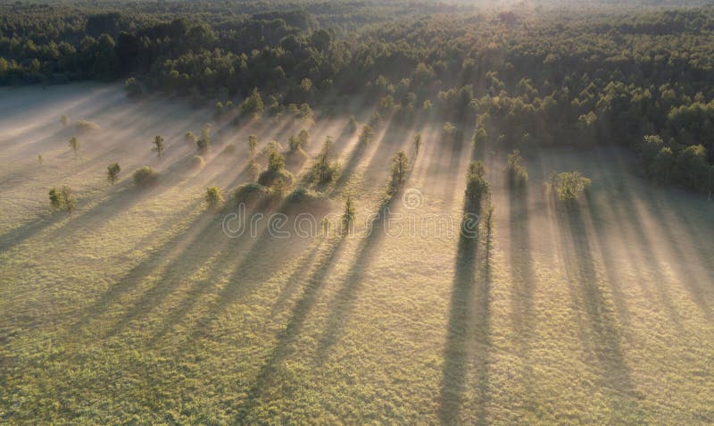 Sun Raise Over the Trees Reflection Shadows on the Meadows Stock Photo ...