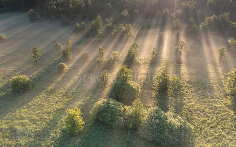 Sun Raise Over the Trees Reflection Shadows on the Meadows Stock Image ...