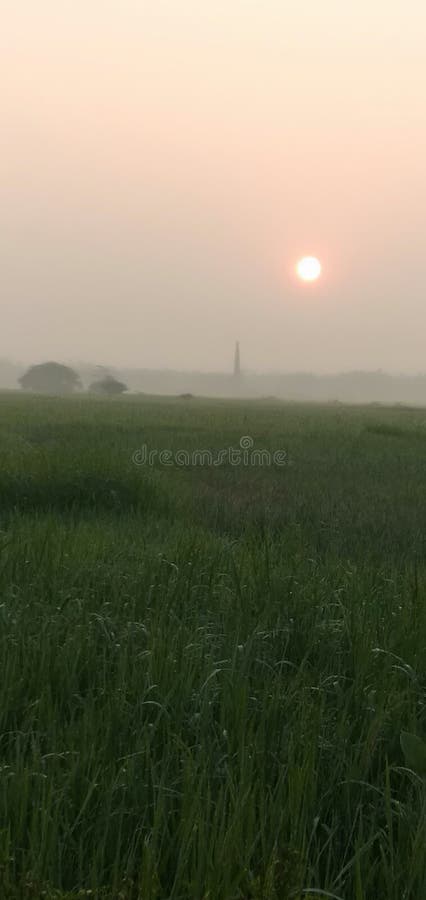 Sun Raise in a Winter Morning in December Stock Photo - Image of winter ...