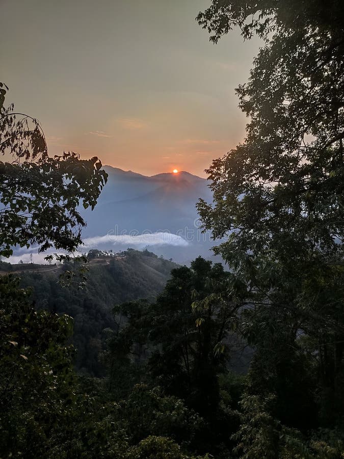 Sun raising and sunset stock image. Image of tree, autumn - 269474599