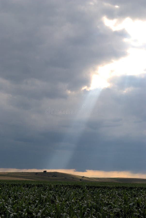 Sun Ray Light on the Top of the Hill Stock Photo - Image of light ...