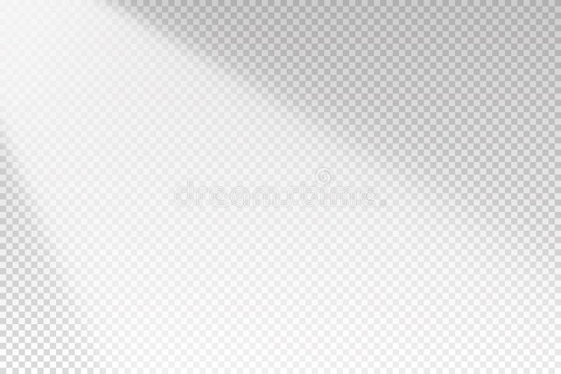 Light Beam Transparent Background Stock Illustrations – 44,802 Light ...