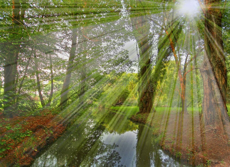 Reflection of Forest on Water Stock Photo - Image of water, foliage ...