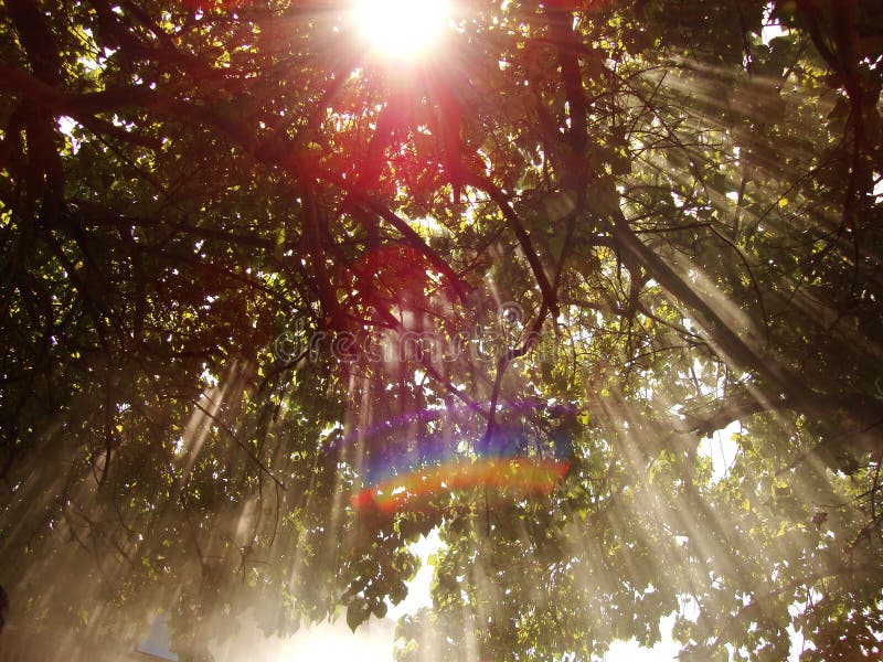 Sun Rays stock photo. Image of colors, rainbow, bright - 2012820
