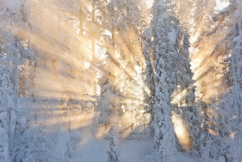 11,260 Sunny Sun Rays Beams Stock Photos - Free & Royalty-Free Stock ...