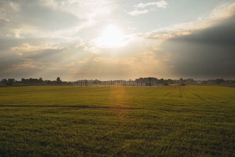 The Sun and Rays Above the Clouds and the Field Stock Image - Image of ...