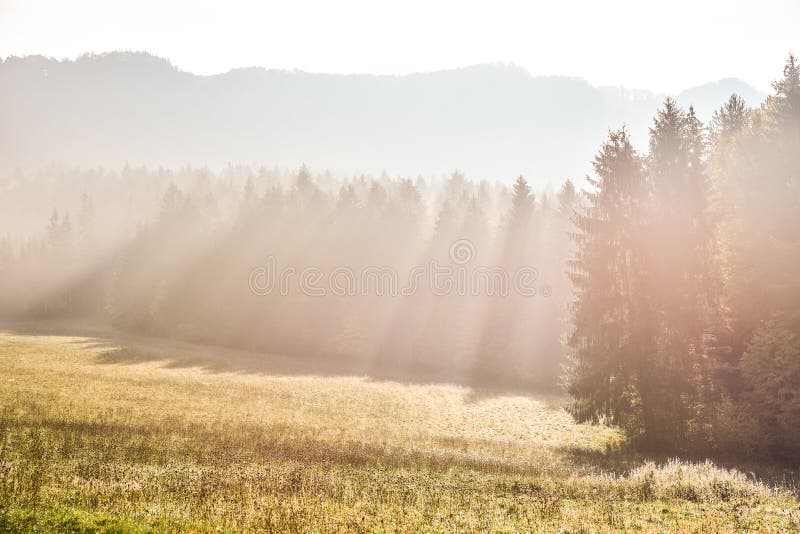 Sun Rays in Autumn Meadow. Background Photo, Wallpaper Stock Image ...