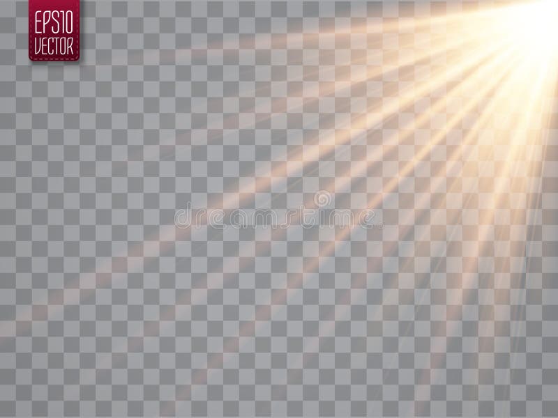 Sun Rays with Beams on Transparent Background. Golden Spotlight. Sun ...