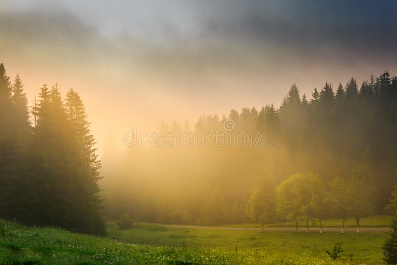 Sun Rays Breaking through the Clouds and Fog in Forests Stock Image ...