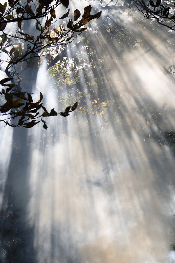 Sun Rays Breaking through the Smoke of a Forest Fire Stock Photo ...