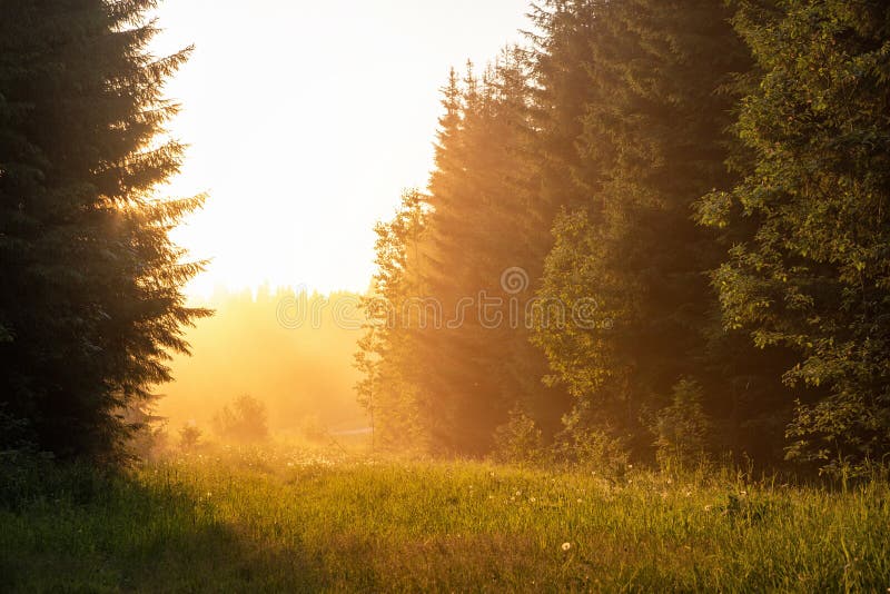 The Sun`s Rays Breaking through the Smoke Stock Image - Image of ...