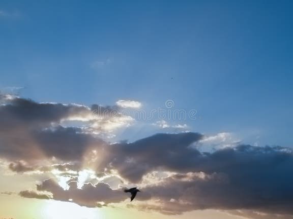 Sun Rays Burst Out through Clouds at Sunrise Stock Image - Image of ...