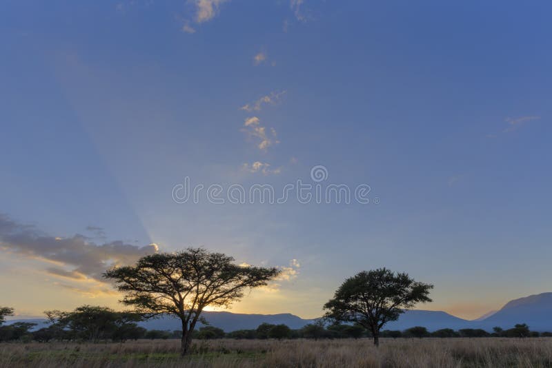 Sun Rays and Clouds at Sunrise Stock Image - Image of horizon, golden ...