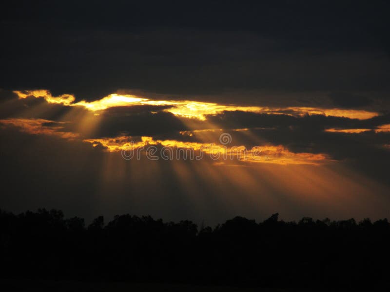 Sun rays stock photo. Image of sunset, goldenlight, rays - 49009830