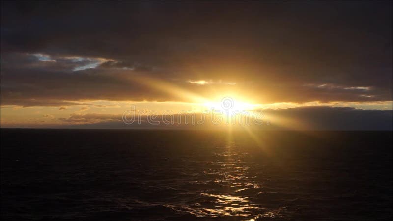 Sun Rays at Dawn stock footage. Video of morning, black - 48138782