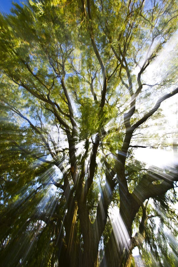 Sun rays stock image. Image of happy, ecological, feelings - 32415087