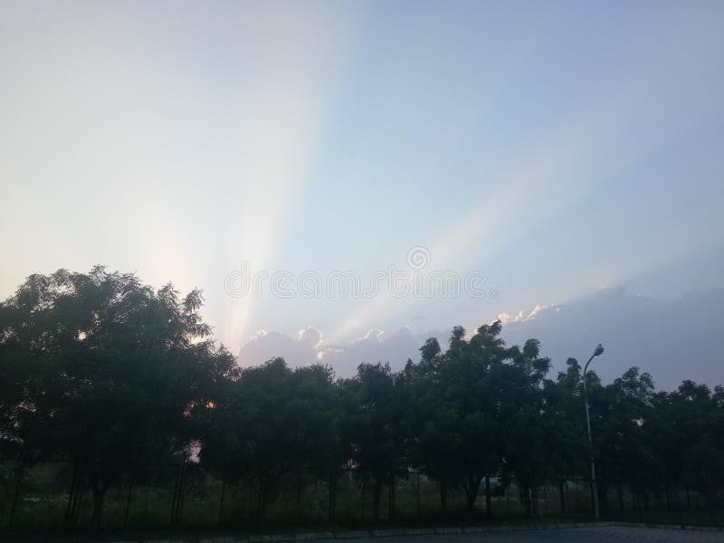 Sun rays stock photo. Image of rays, looking, tree, preety - 138224260