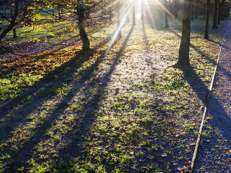 Sun Rays Over the Autumn Garden Stock Photo - Image of sunlight, rays ...