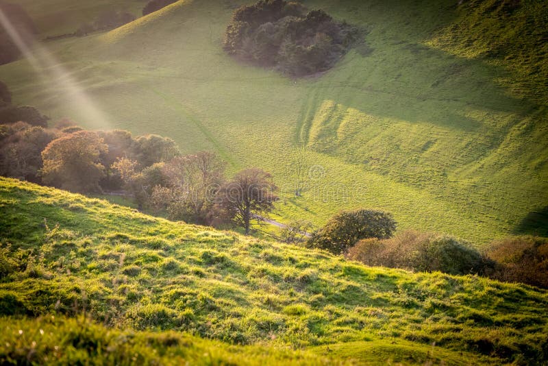Sun Rays Over Fields at Sunset Stock Image - Image of green, hedge ...