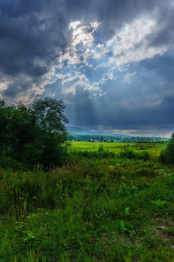 Sun rays over green meadow stock image. Image of mystical - 100076225