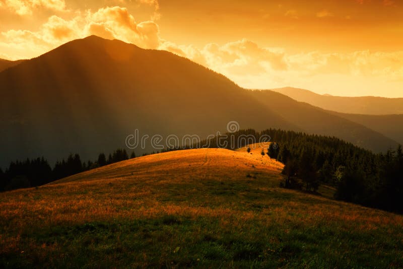 Morning Sun Rays stock photo. Image of rays, field, sunrise - 21095738