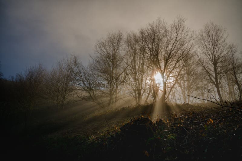 Sun Rays Pass through the Mist Stock Image - Image of foggy, landscape ...
