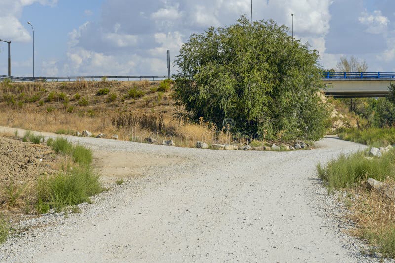 Sun Rays Penetrate through the Clouds, Creating Beams of Light that ...