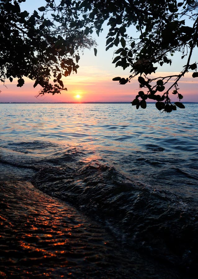 Sun Rays Reflected in the Water Stock Photo - Image of sunlight, dusk ...