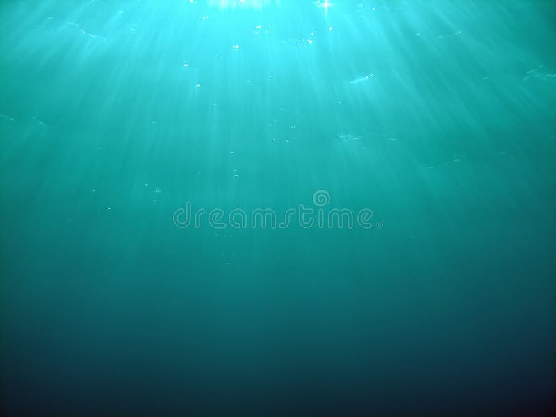 Sun rays through sea water stock photo. Image of sunny - 12464820