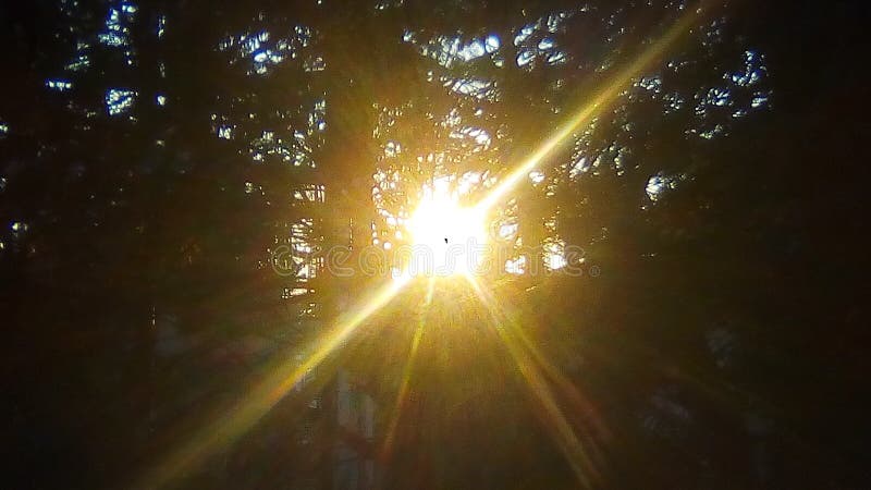 Sun rays stock image. Image of setting, rays, shines - 84059053