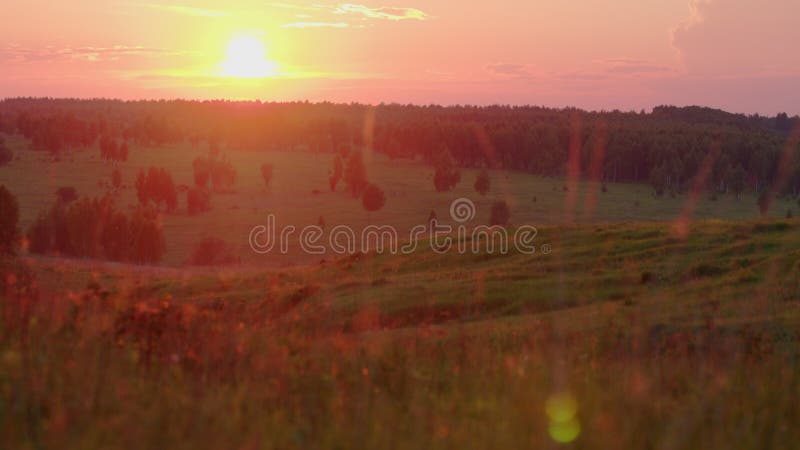 Sun Rays Shine into Camera at Sunset. Stock Footage - Video of cloudy ...
