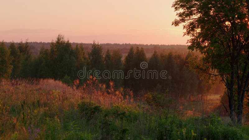 Sun Rays Shine into Camera at Sunset. Stock Video - Video of copy ...