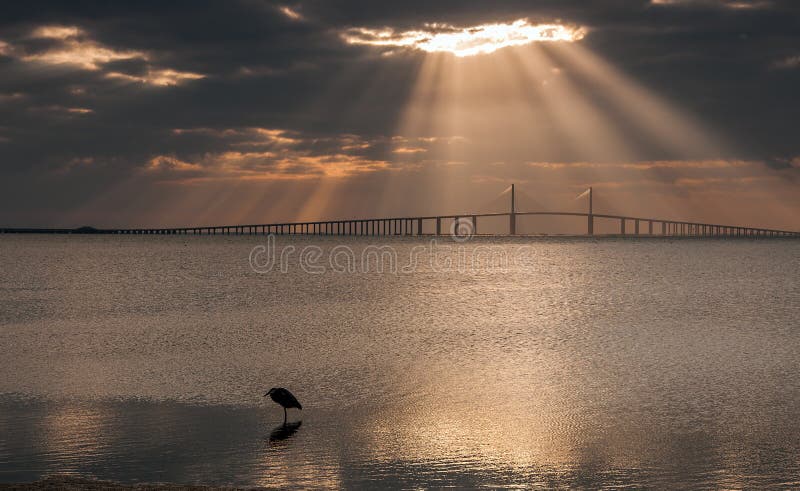 Sunshine Skyway Bridge at Dawn Stock Image - Image of clouds, sunshine ...
