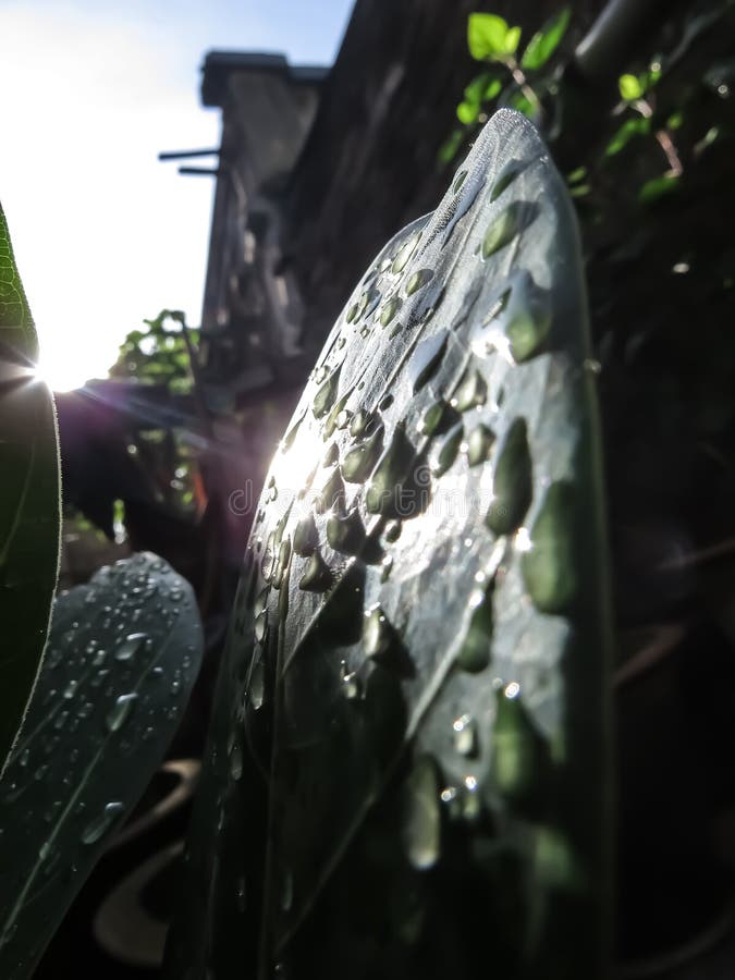 Nature at its best vision stock image. Image of field - 158298883