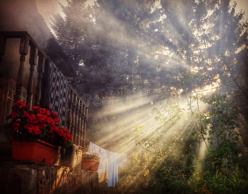 Sun rays in the smoke stock photo. Image of beauty, natural - 89955544