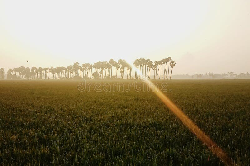 265 Raising Sun Rays Stock Photos - Free & Royalty-Free Stock Photos ...